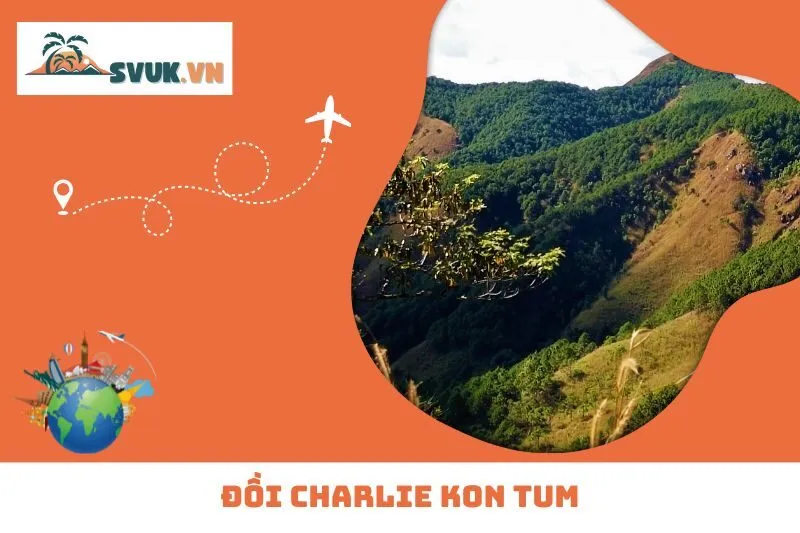 Khám Phá Đồi Charlie Kon Tum – Di Tích Lịch Sử Giữa Đại Ngàn